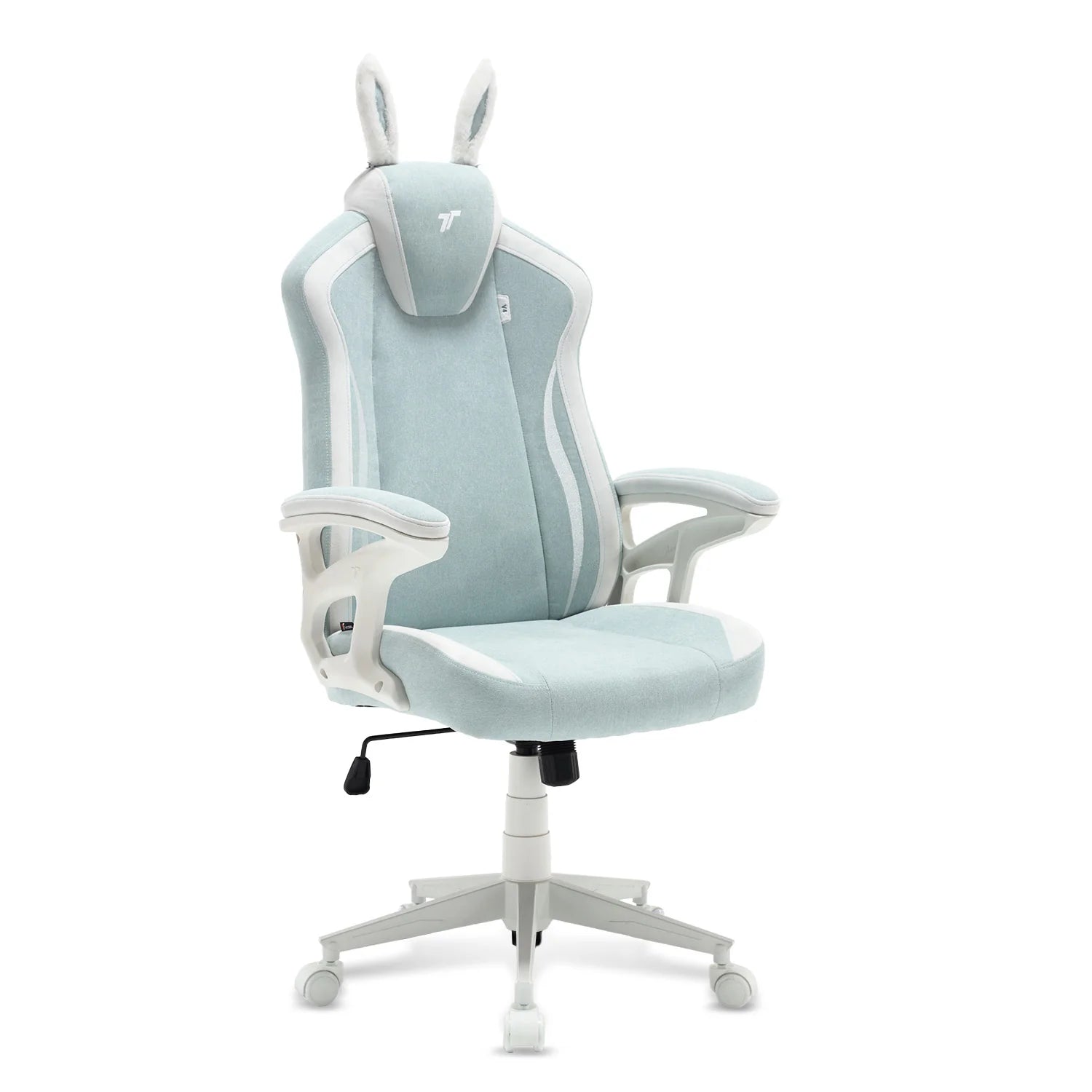 TTRacing Duo V4 - BunnyBliss – SBNT